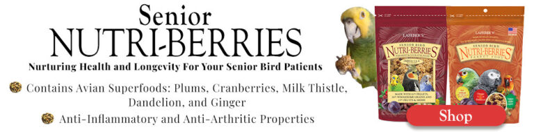 Exotic Animal Medicine - LafeberVet