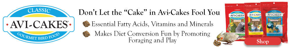 Basic Rabbit Care Handout and Infographic - LafeberVet