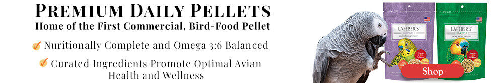 Basic Rabbit Care Handout and Infographic - LafeberVet