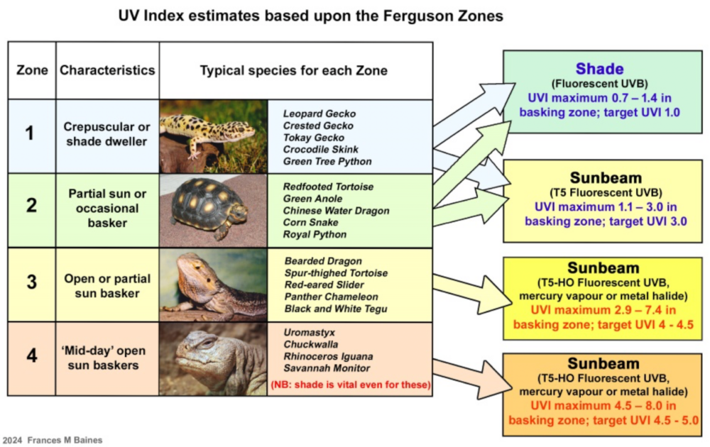 UVB Lighting for Reptiles - LafeberVet