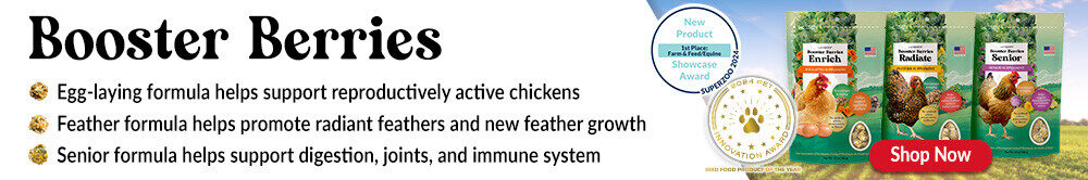 Lizard Handling and Restraint - LafeberVet