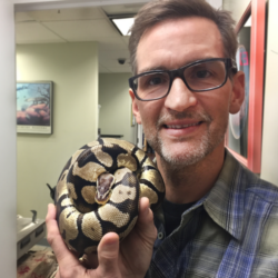 Scott J. Stahl, DVM, DABVP (Avian Practice) - LafeberVet