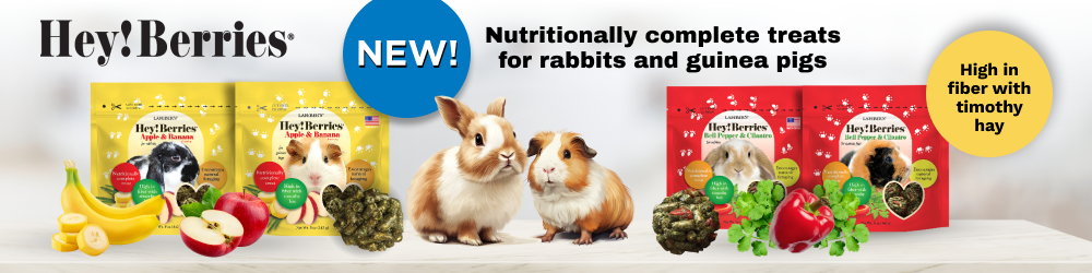 Snake Handling and Restraint - LafeberVet