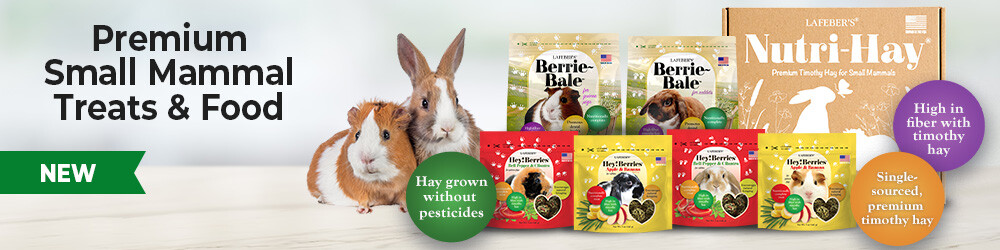 LafeberVet: for exotic animal veterinary medicine professionals