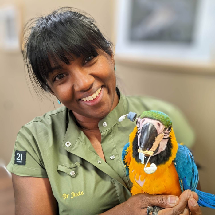 Jade Kingsley BA/BSc, BVSc, PgDip, MANZCVS (Avian Health) - LafeberVet