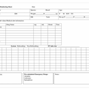 Anesthetic Record 4 - LafeberVet