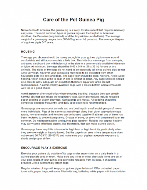 Care of the Pet Guinea Pig - LafeberVet