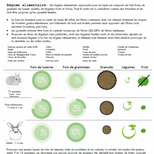 Informations et soins de base du lapin - LafeberVet