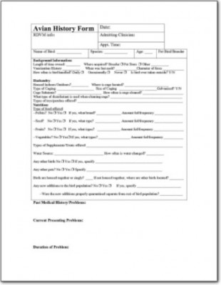 Avian History Form 2 - LafeberVet