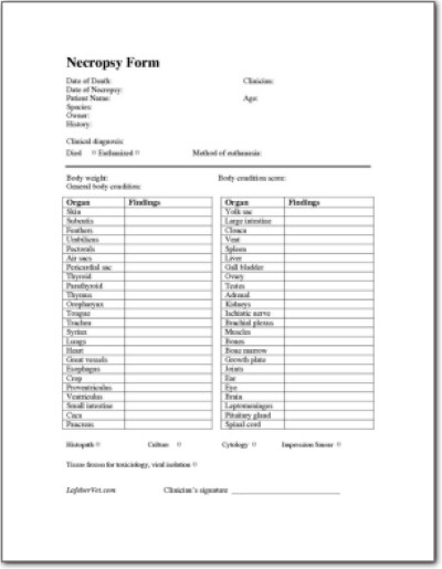 Avian Necropsy Form 1 - LafeberVet
