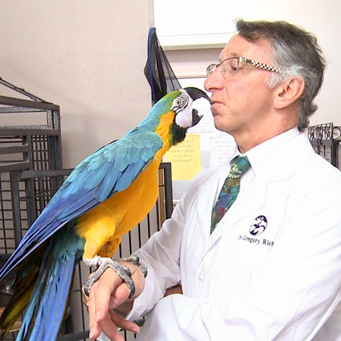 An Introduction to Exotic Animal Medicine - LafeberVet