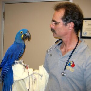 Dr. Brian Speer – Lafeber Company