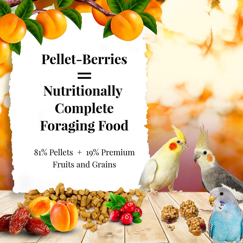 Pellet-Berries for Small Birds 10oz – Lafeber Company