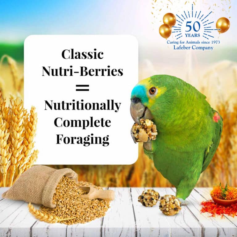 Parrot Nutri-Berries – Lafeber Company