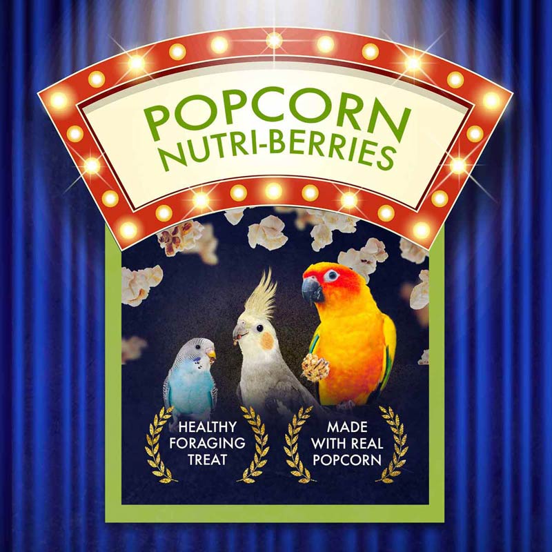 Cockatiel Popcorn Nutri-Berrie Treats 4oz – Lafeber Company
