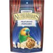 Parrot Popcorn Nutri-Berrie Treats – Lafeber Company