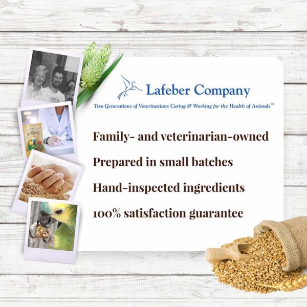 Parrot Nutri-Berries – Lafeber Company