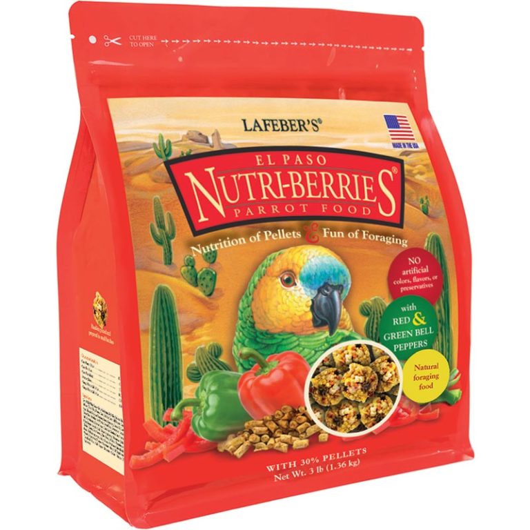 Parrot Popcorn Nutri-Berrie Treats – Lafeber Company