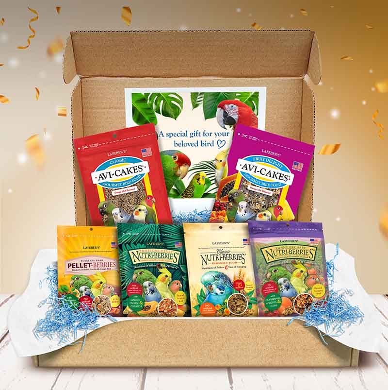 Parakeet Gift Box – Lafeber Company