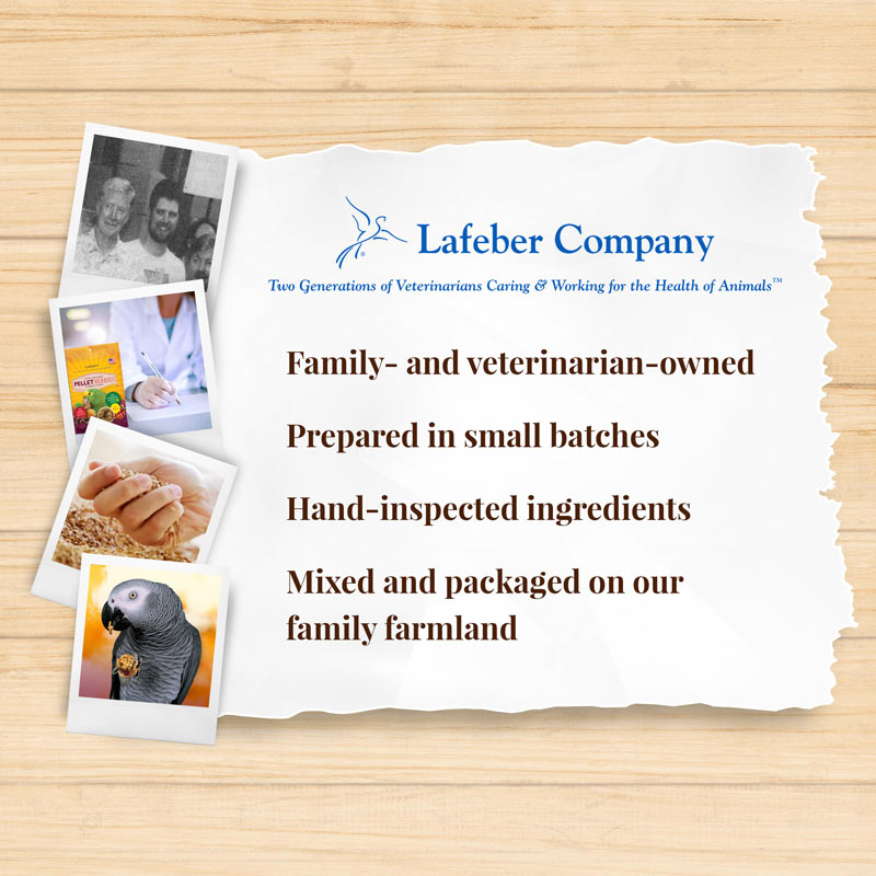 Pellet-Berries for Parrots – Lafeber Company