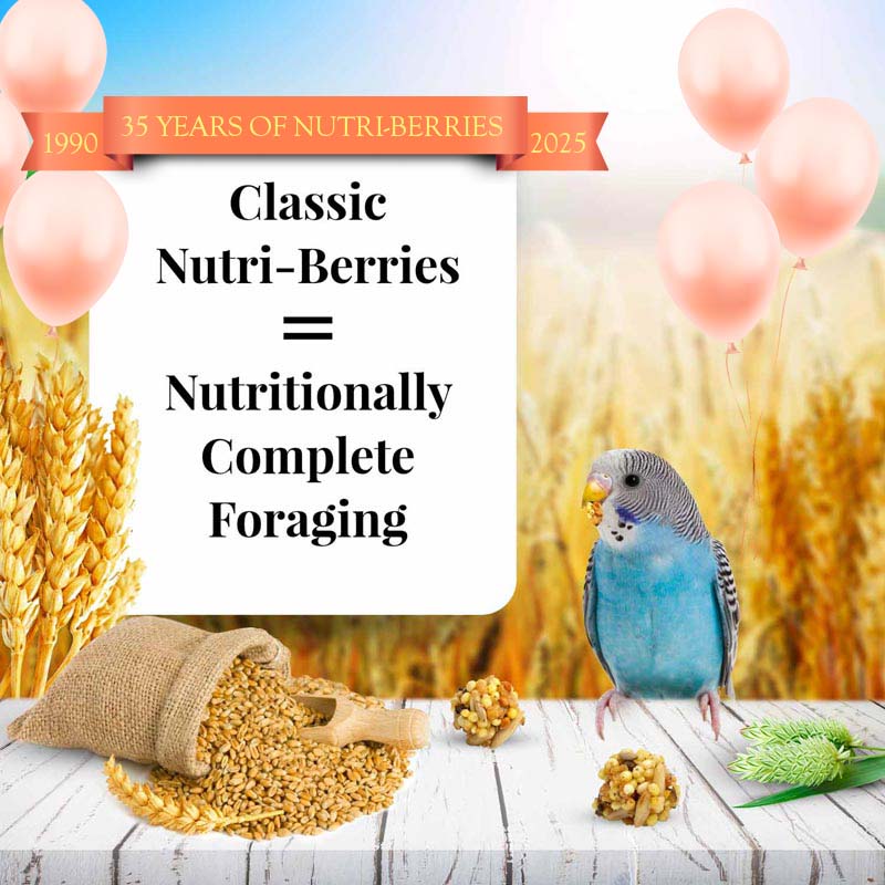 Parakeet Nutri-Berries – Lafeber Company