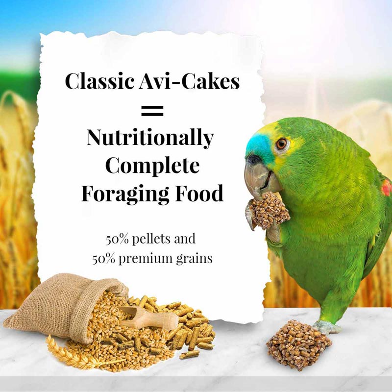Classic Avi-Cakes for Parrot – Lafeber Company
