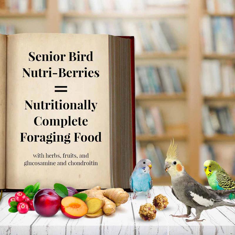 Senior Bird Nutri-Berries for Parakeet & Cockatiel – Lafeber Company