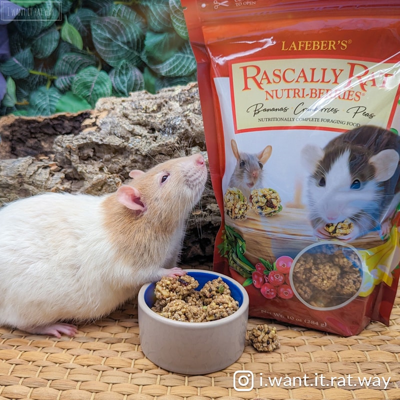 Rascally Rat Nutri-Berries – Lafeber Company