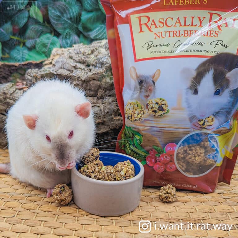 Rascally Rat Nutri-Berries – Lafeber Company