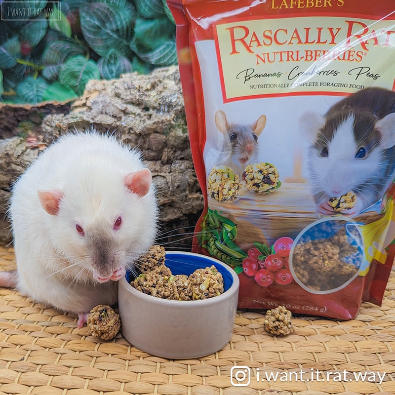 Rascally Rat Nutri-Berries – Lafeber Company
