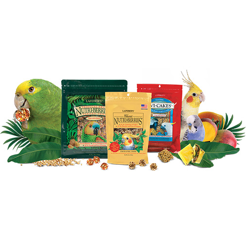 Shop – Lafeber Company