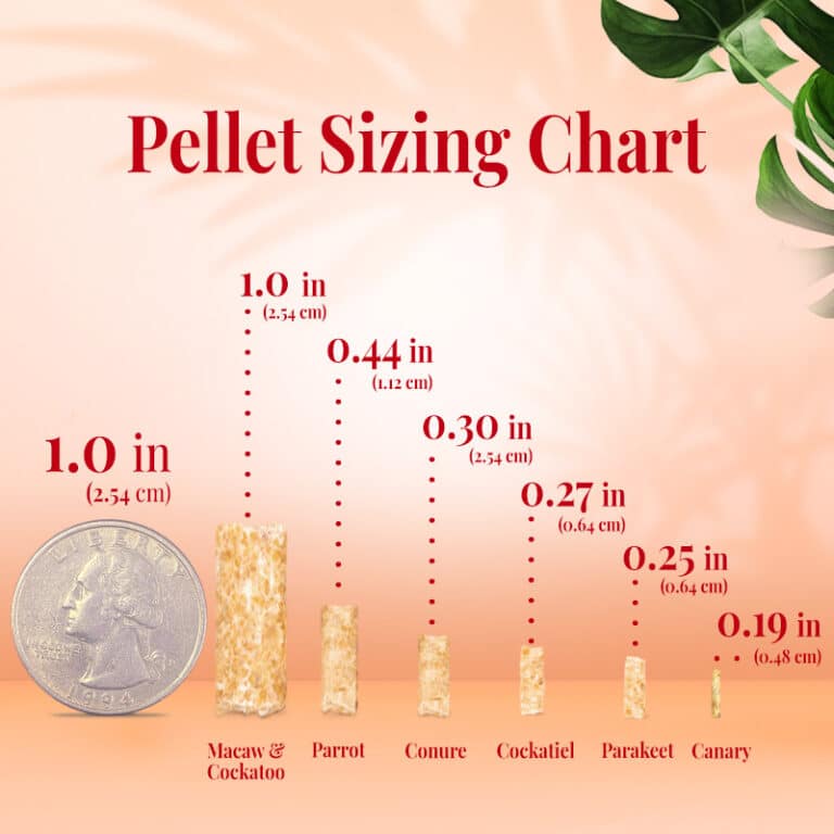 Conure Tropical Fruit Gourmet Pellets – Lafeber Company