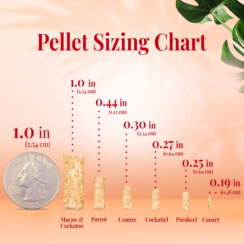 Canary Tropical Fruit Gourmet Pellets – Lafeber Company