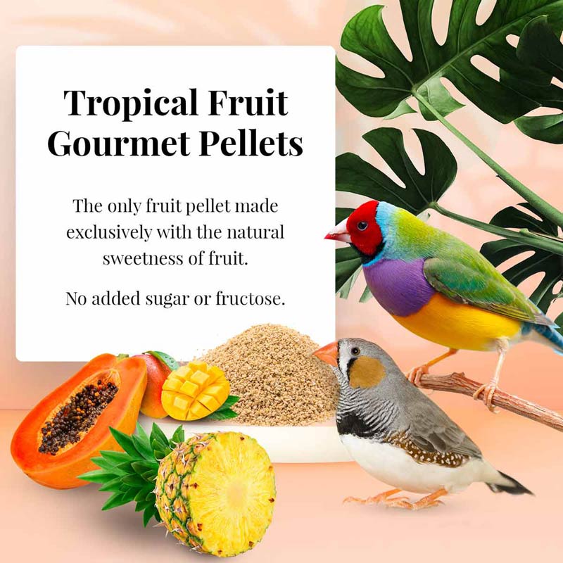Finch Tropical Fruit Gourmet Pellets 1 Ib – Lafeber Company