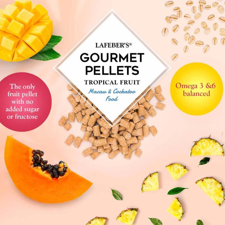 Macaw Tropical Fruit Gourmet Pellets – Lafeber Company
