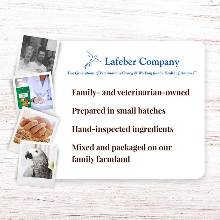 Parrot Pellets – Lafeber Company