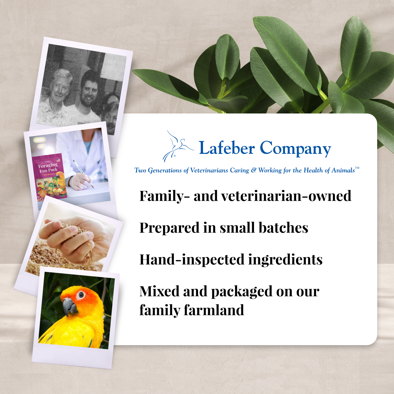 Conure Foraging Fun Pack – Lafeber Company