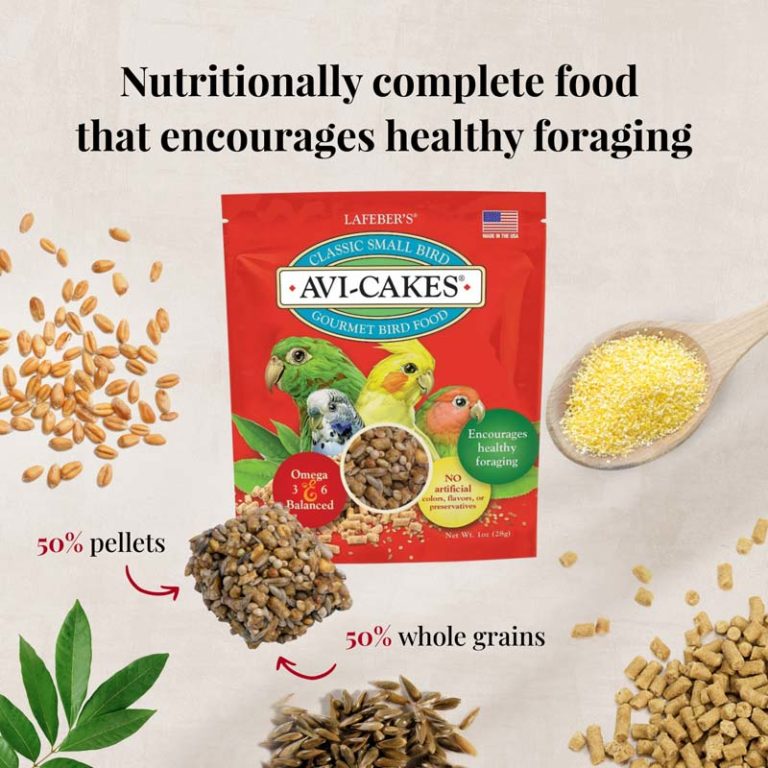 Cockatiel Foraging Fun Pack – Lafeber Company