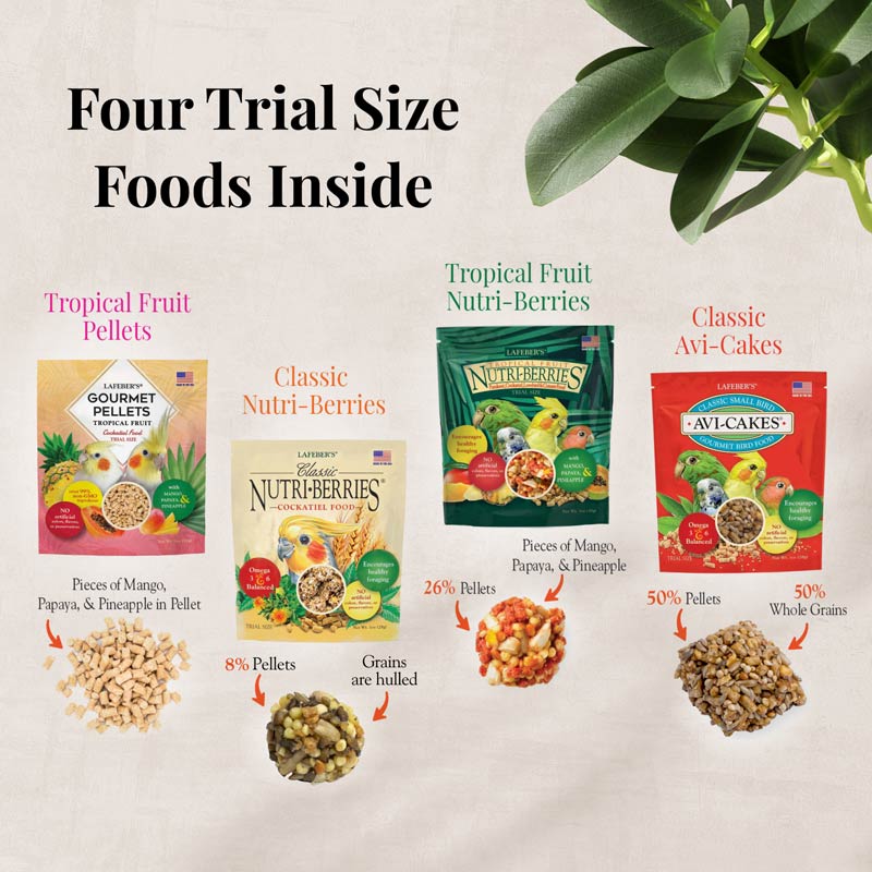 Cockatiel Foraging Fun Pack – Lafeber Company