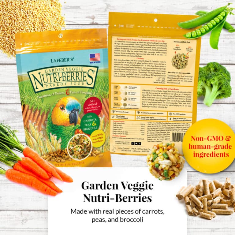 Gourmet Nutri-Berries Four Pack With Free Avi-Cake Sample – Lafeber Company