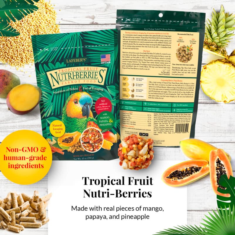 Gourmet Nutri-Berries Four Pack With Free Avi-Cake Sample – Lafeber Company