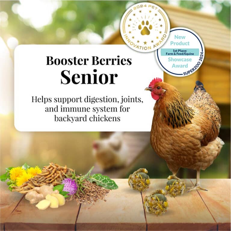 Booster Berries Senior Chicken Supplement – Lafeber Company