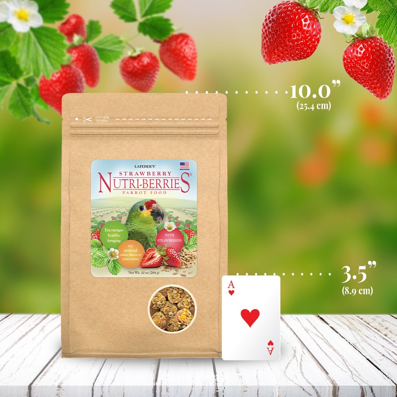LIMITED EDITION Strawberry Nutri-Berries for Parrots 10oz – Lafeber Company