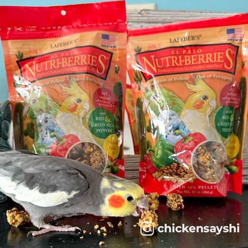 El Paso Nutri-Berries for Small Birds 10 oz – Lafeber Company