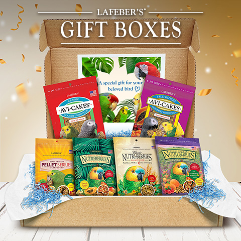Bird Food – Lafeber Company