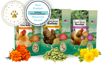 Tips For Good Feather Health In Backyard Chickens – Lafeber Company