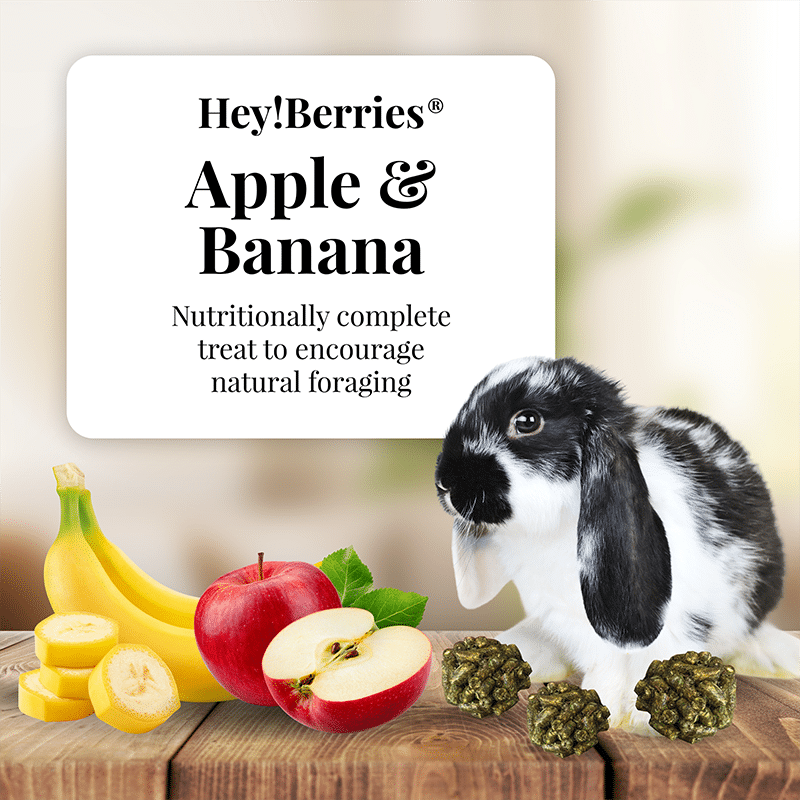 Hey!Berries Apple and Banana for Rabbits 5 oz – Lafeber Company