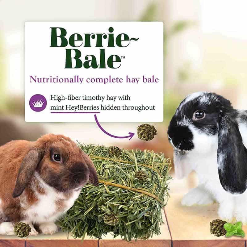 Berrie-Bale Mint for Rabbits 1 lb – Lafeber Company