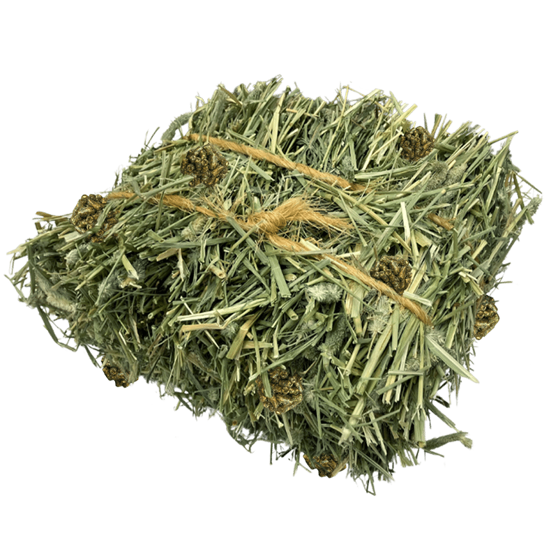Berrie-Bale Mint for Rabbits 1 lb – Lafeber Company